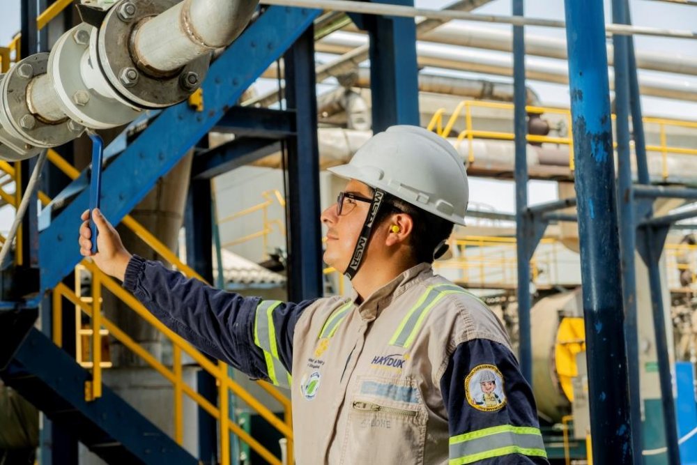 Hayduk impulsa cultura preventiva de seguridad en sus trabajadores ...