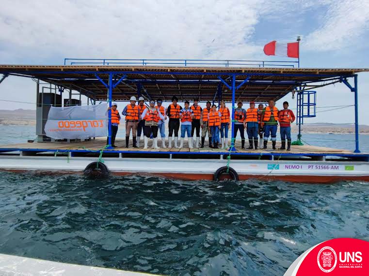 UNS desarrolla innovadora balsa solar para cultivo de concha de abanico ...